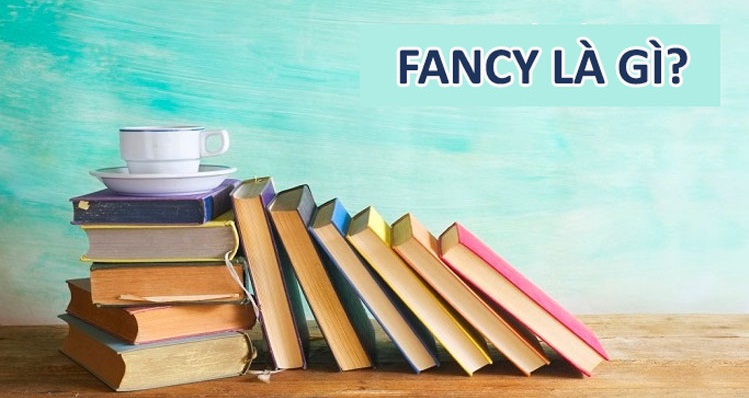 Fancy là gì và cấu trúc từ Fancy trong câu Tiếng Anh