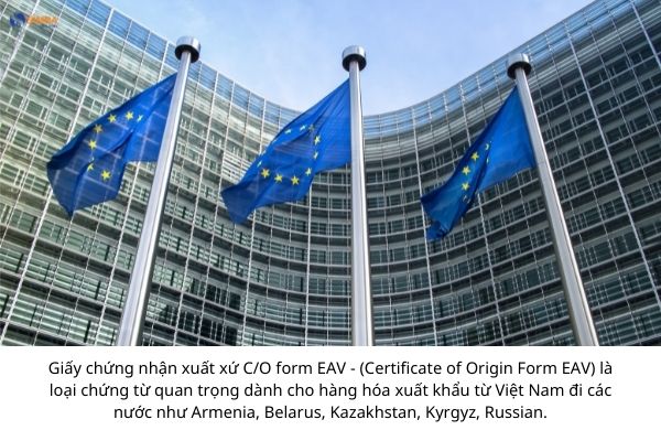 C/O form EAV là gì? Tìm hiểu về C/O form EAV | SIMBA GROUP